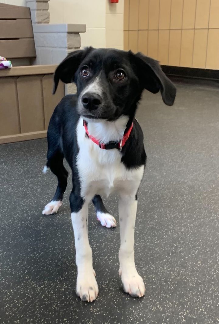 Meet Anne – Anne Stone